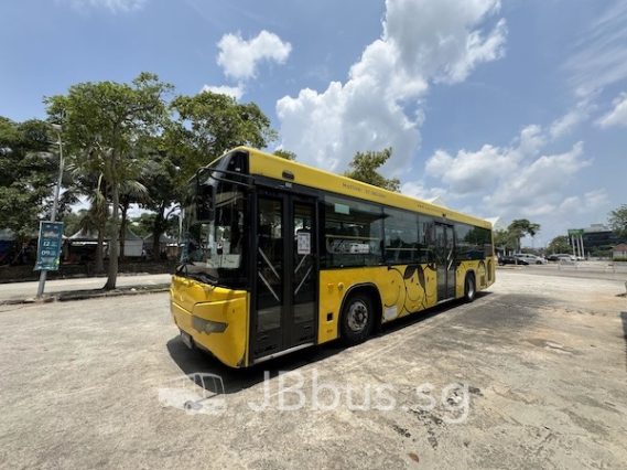Bus CW3L CIQ 2nd Link to Perling Mall & Aeon Bukit Indah JB, Johor Bahru